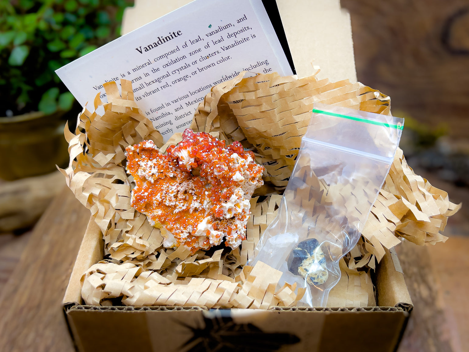 Crystal Shop & Subscription Box | Enchanted Crystal